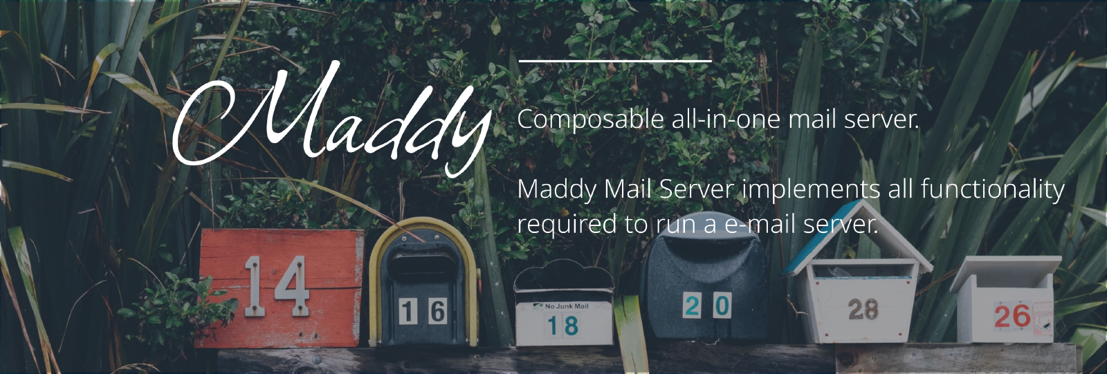 Maddy 自建邮件服务